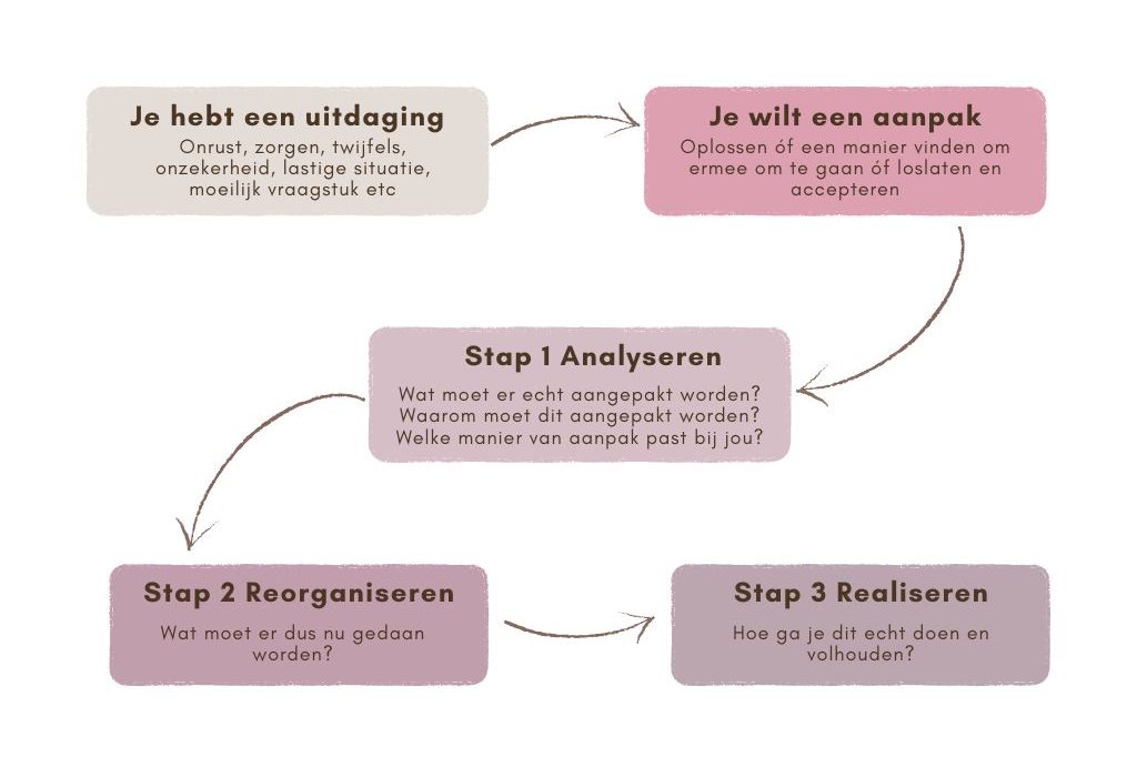 cropped-BasisBegrip-aanpak-stappenplan.jpg | BasisBegrip